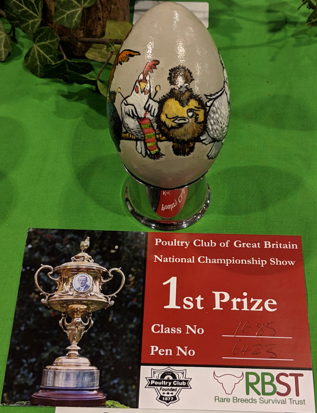 How do you show chickens?